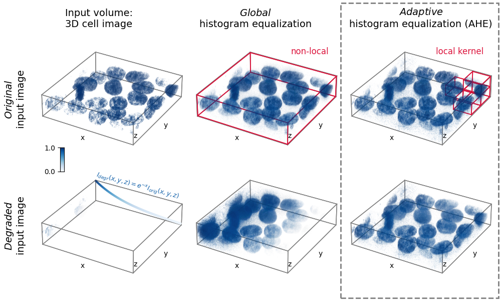 3D adaptive histogram equalization — skimage 0.22.0 documentation