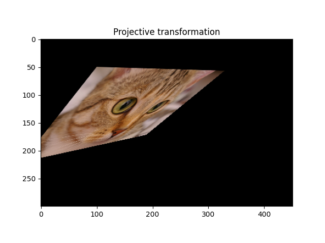 Types of homographies — skimage 0.23.2 documentation